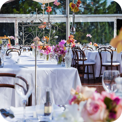 Event chairs for HIRE | indoor & outdoor chair hire